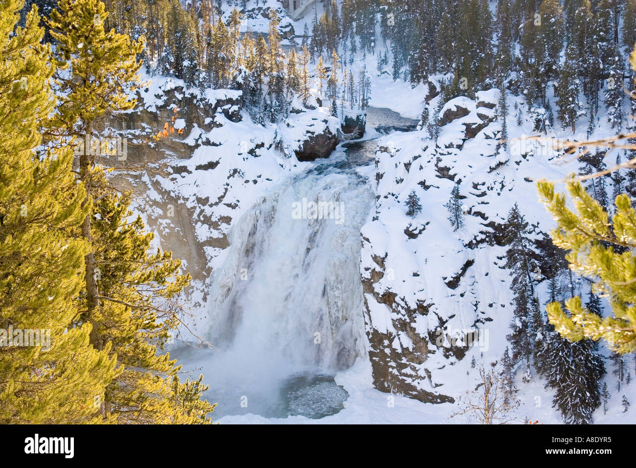 Upper Falls of the Yellowstone River Stock Photo - Alamy