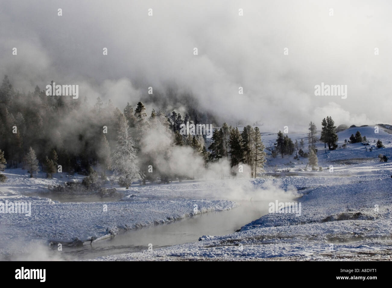 Steam rising from geothermal activity in the upper geyser basin ...