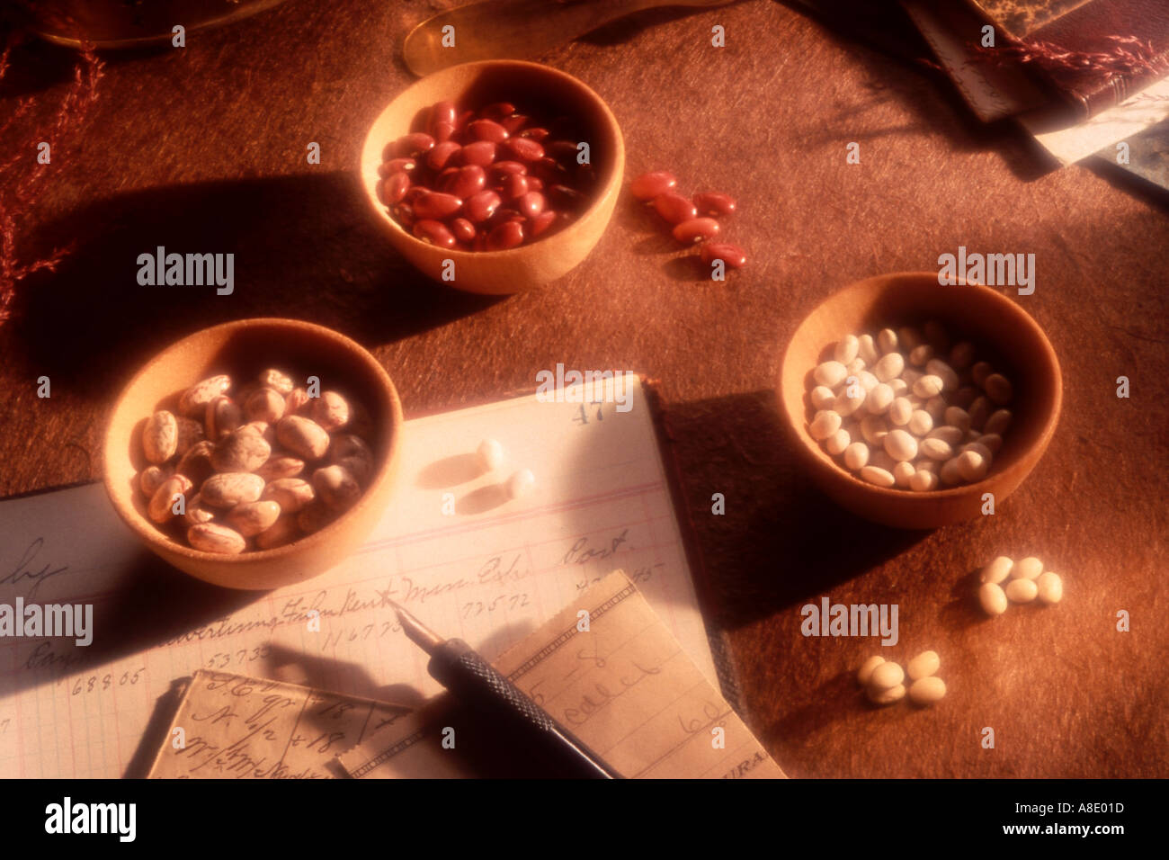 Counting Beans High Resolution Stock Photography and Images - Alamy