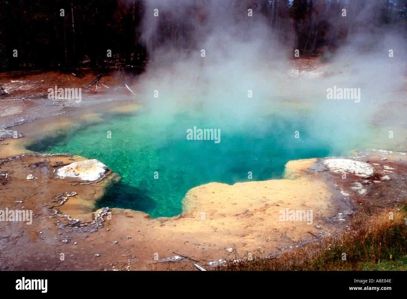 Volcanic thermal hot pool at Mammoth hot springs in Yellowstone ...