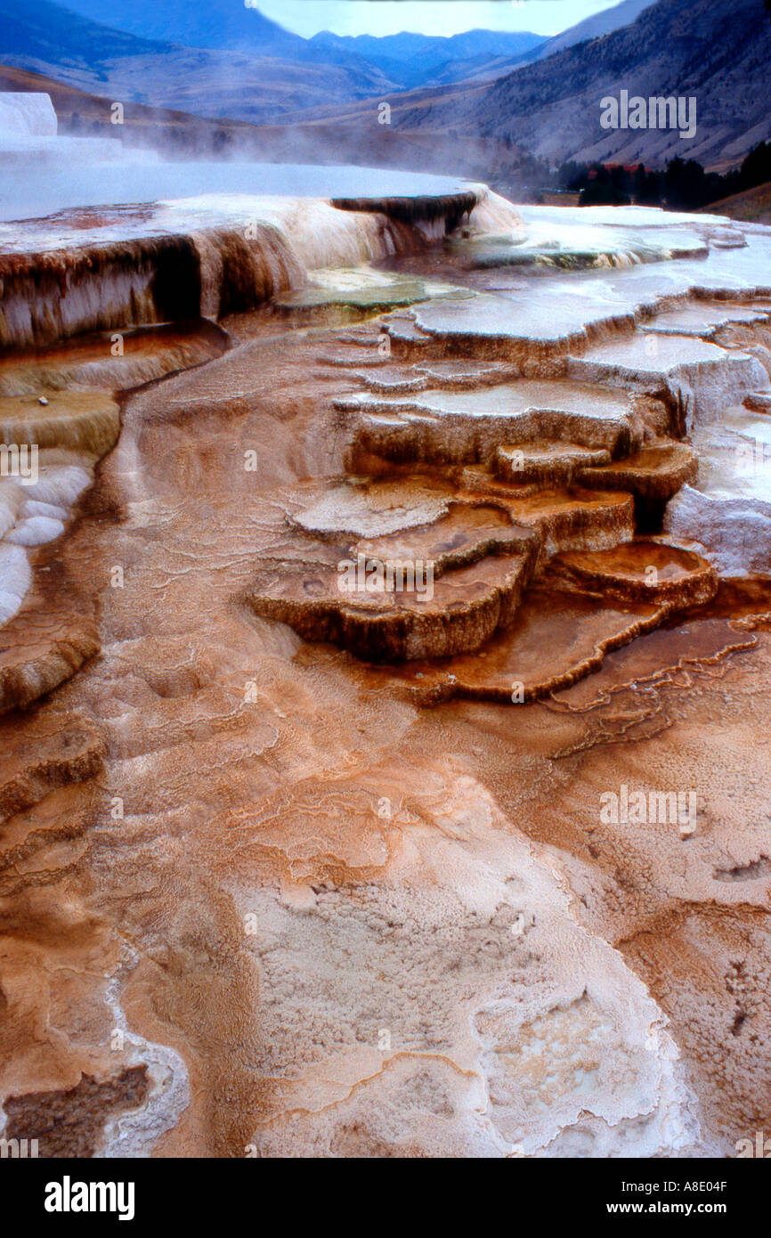 Volcanic thermal hot pool at Mammoth hot springs in Yellowstone ...