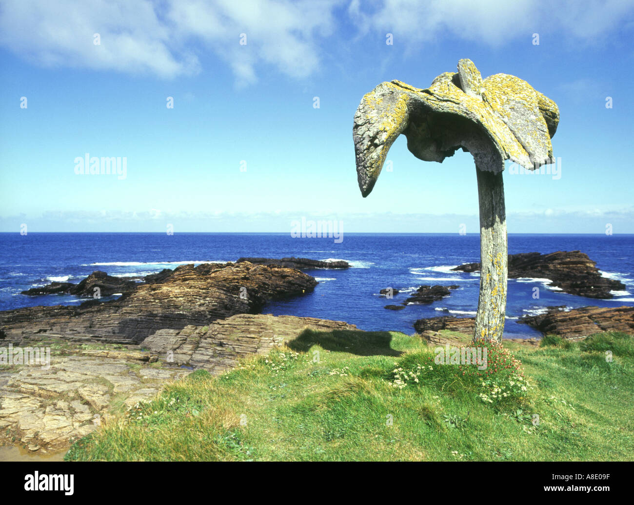 dh Whale bone BIRSAY ORKNEY Whale bone skeleton sculpture art scotland ...