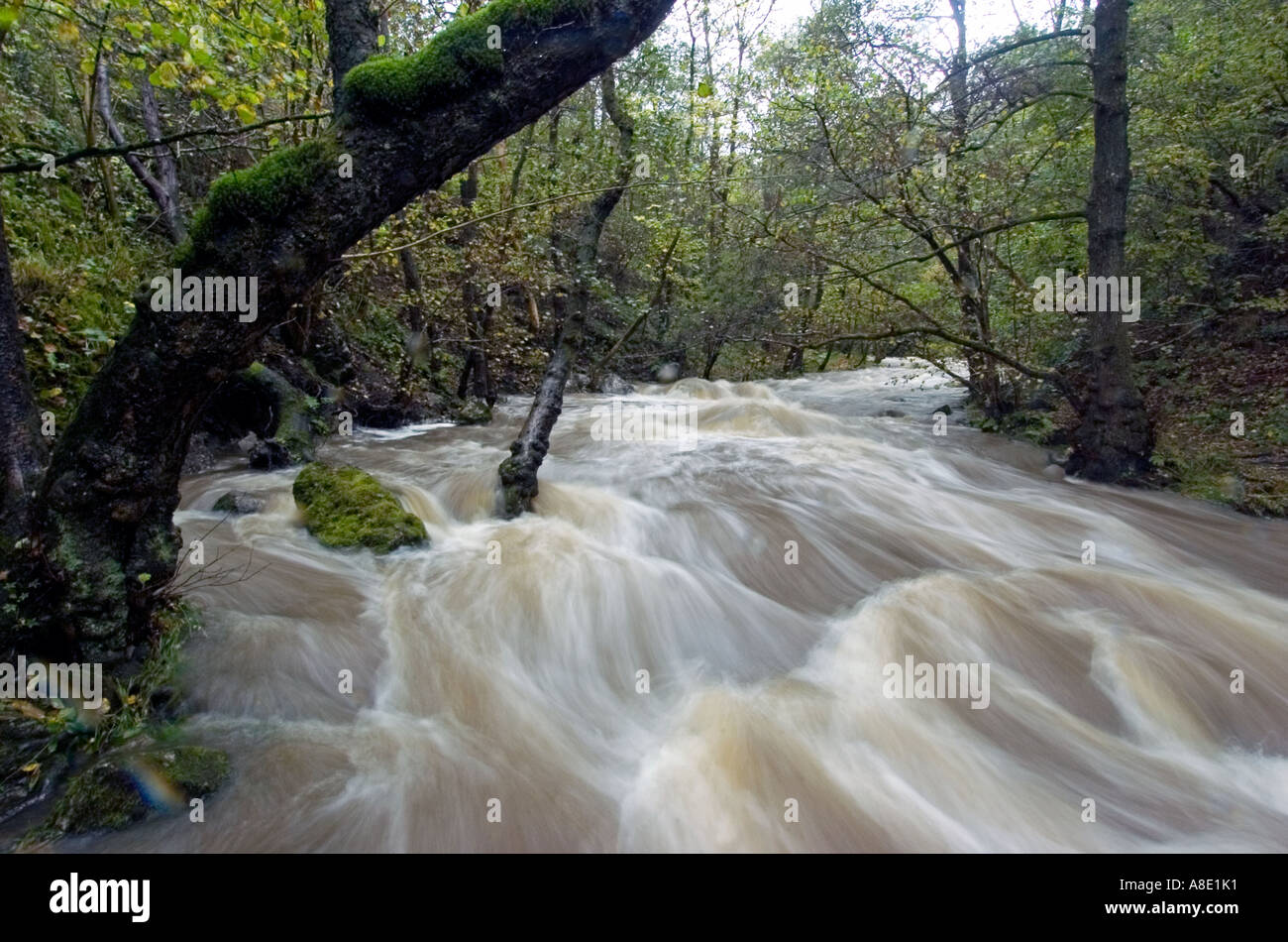 Fast flowing river near Dinas Rock in the upper Neath Valley Stock ...