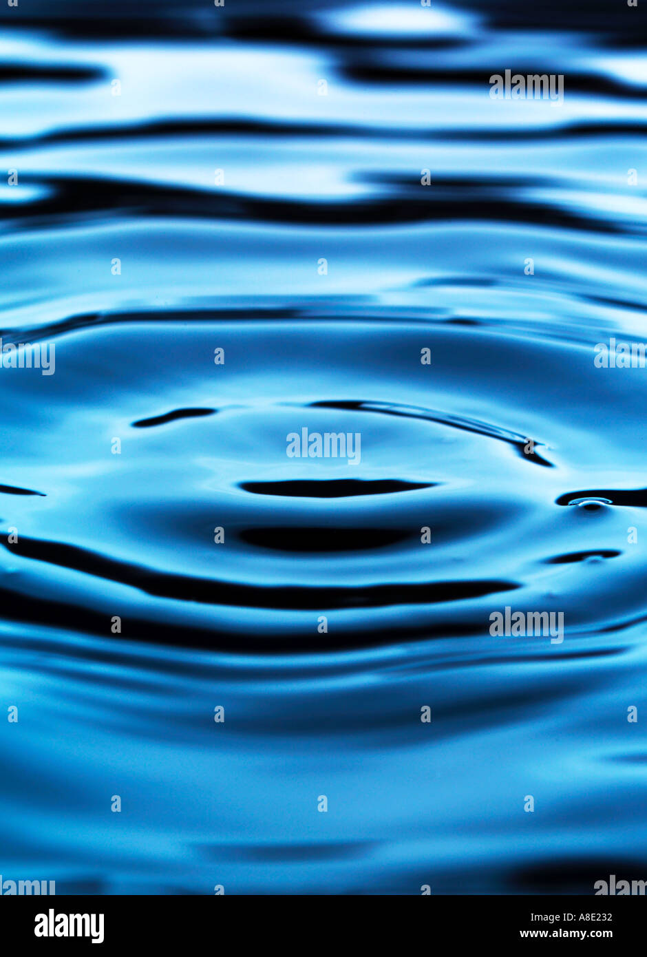 Guttae hi-res stock photography and images - Alamy