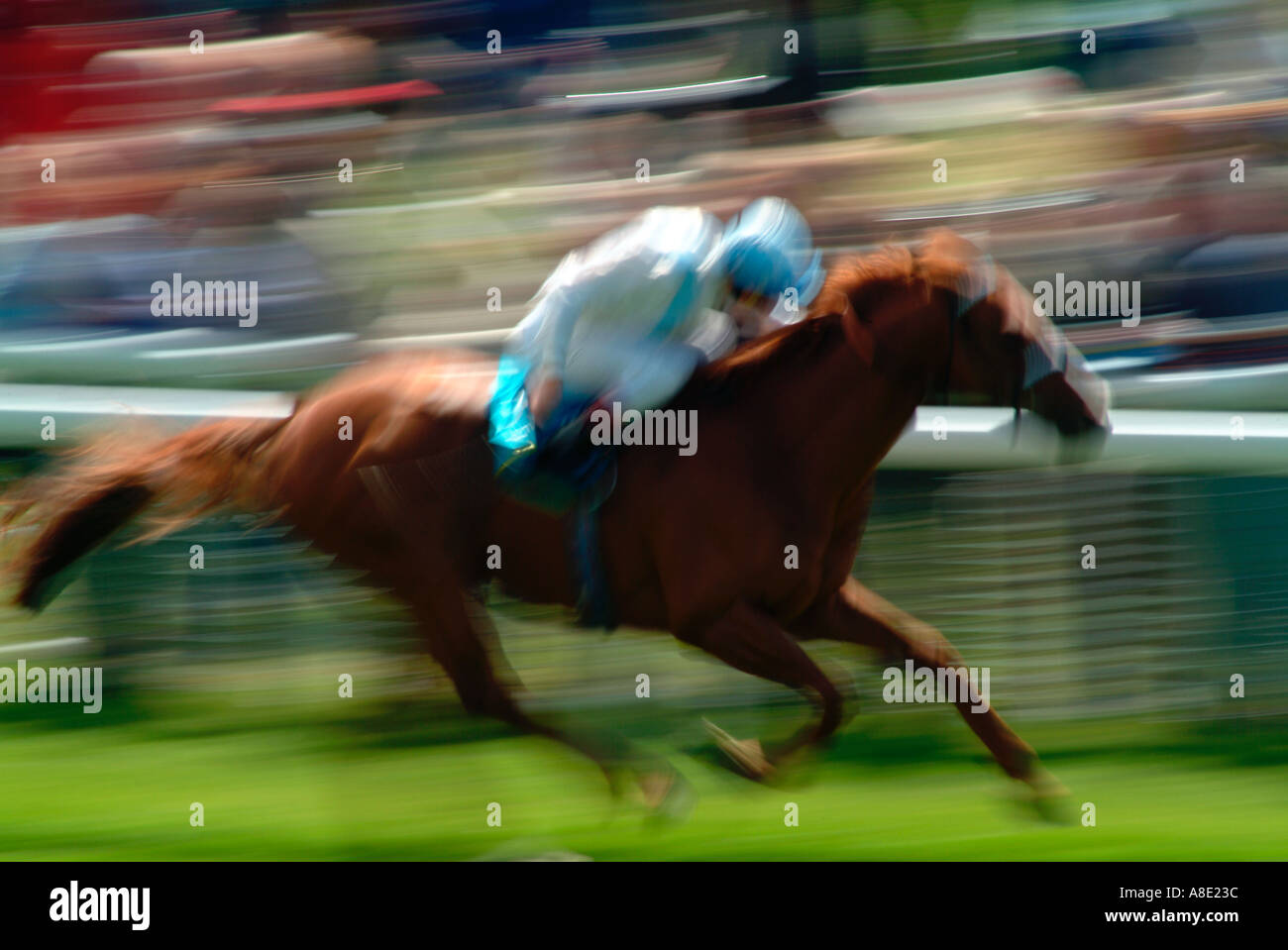 Horse racing at Chester Races Cheshire England UK Stock Photo - Alamy