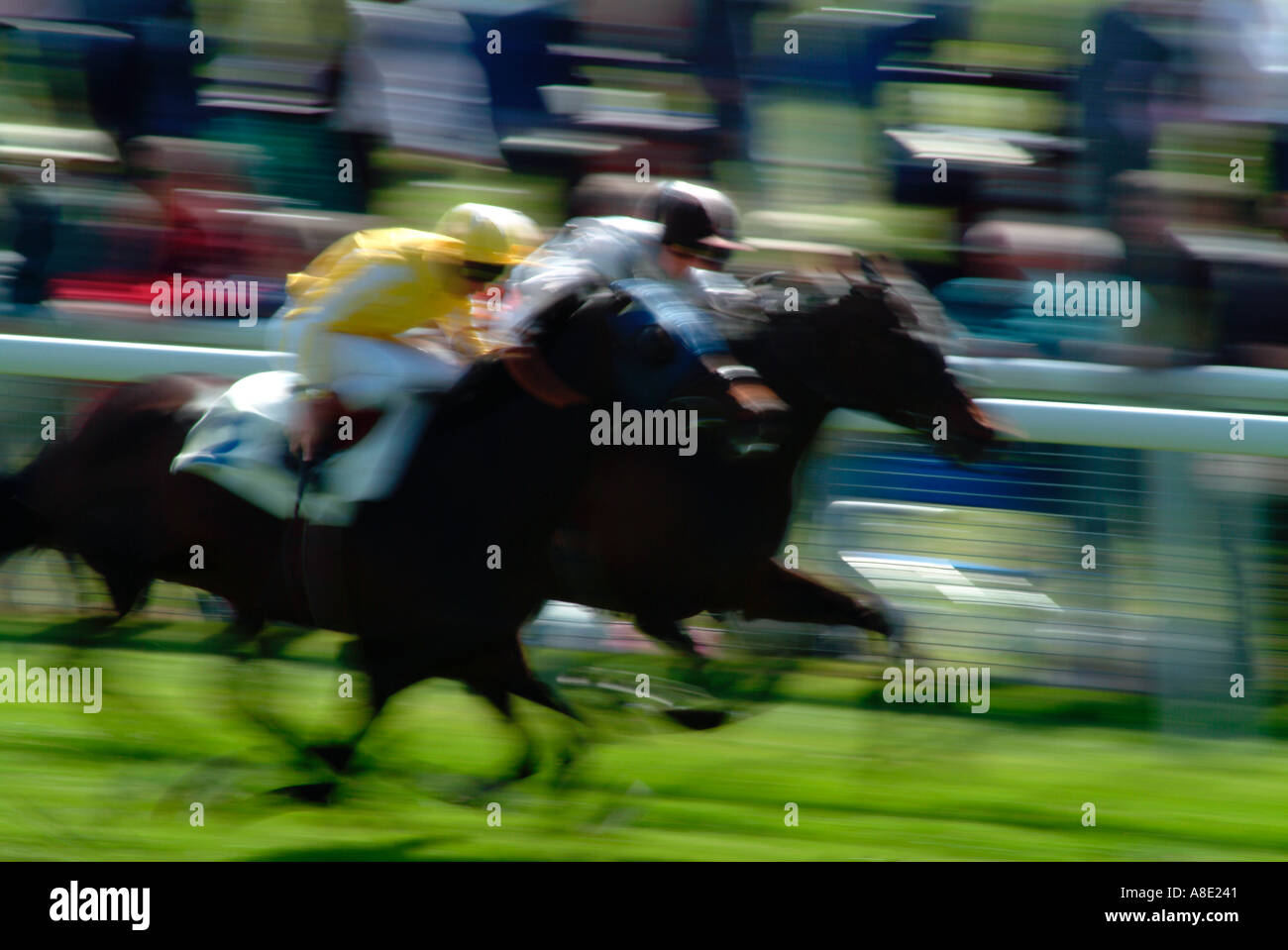 Horses racing at Chester Races Cheshire England UK Stock Photo - Alamy