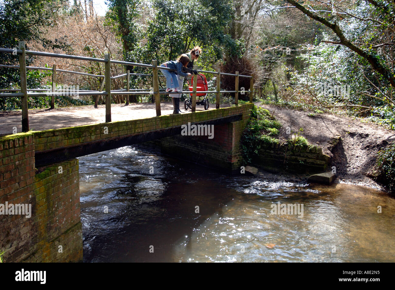 Pooh sticks game Stock Photo - Alamy