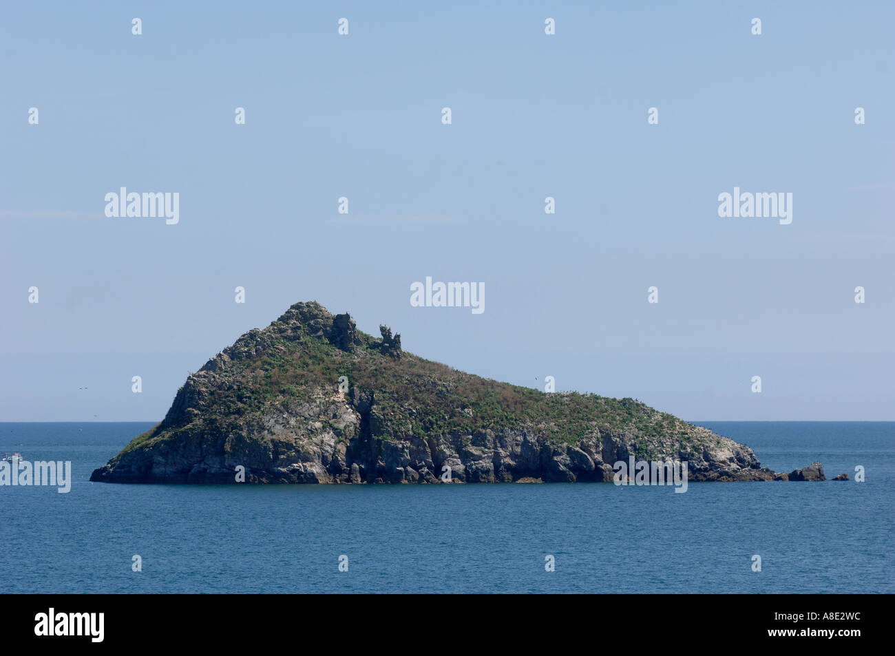 Thatcher Rock, Torbay, Torquay, Devon, England, UK Stock Photo - Alamy