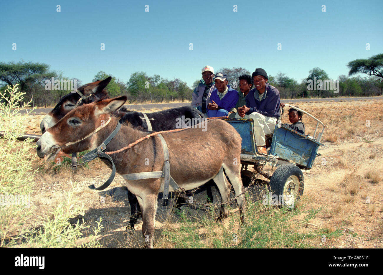 Namibian transport hi-res stock photography and images - Alamy