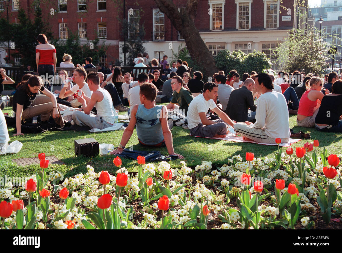 Evening sun Soho Square London England UK Stock Photo - Alamy
