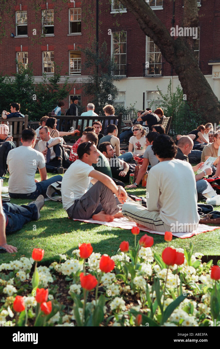 Evening sun Soho Square London England UK Stock Photo - Alamy