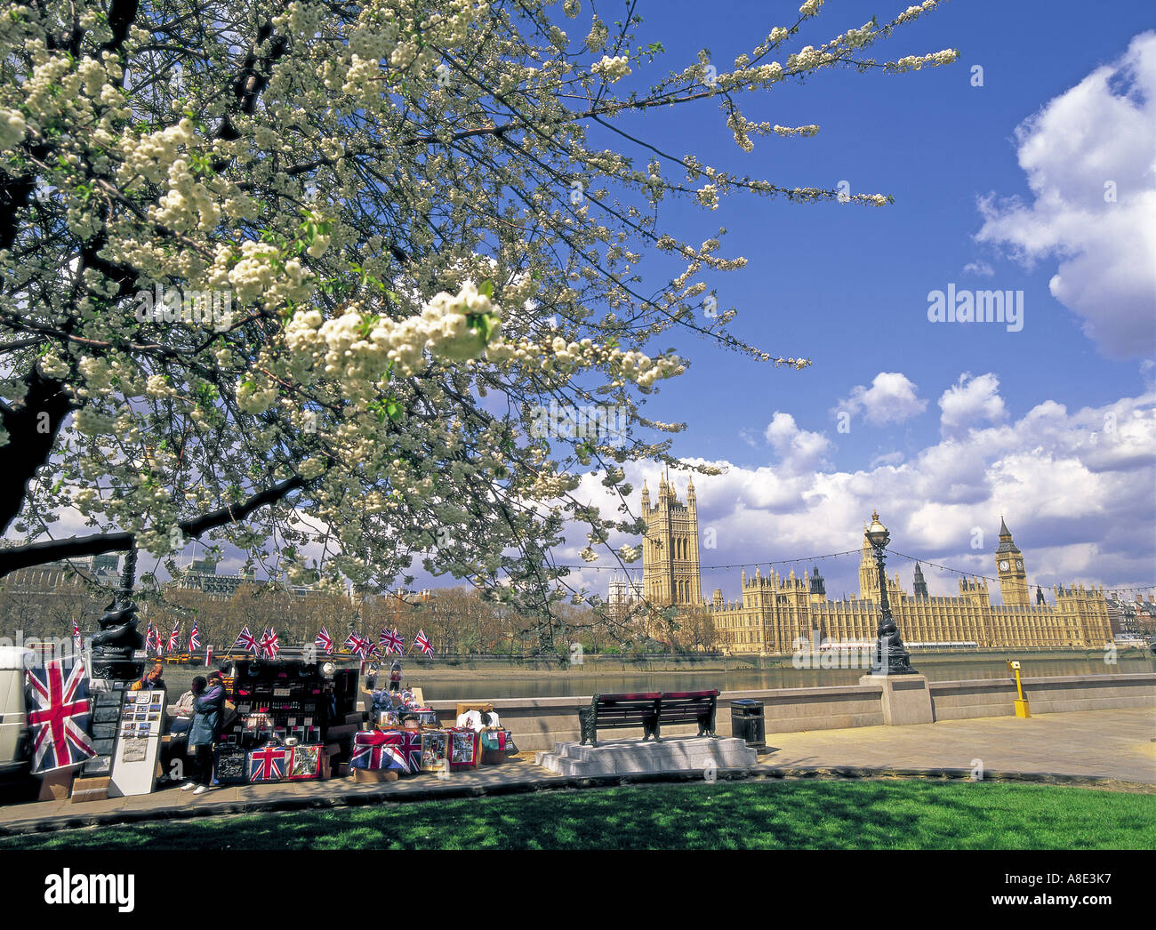 Parliament and River Thames in spring c Stock Photo - Alamy