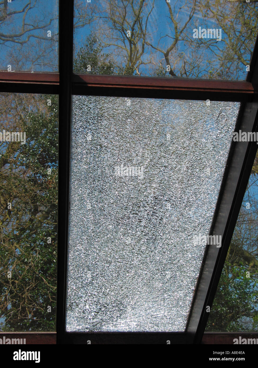 Breaking through glass hi-res stock photography and images - Alamy