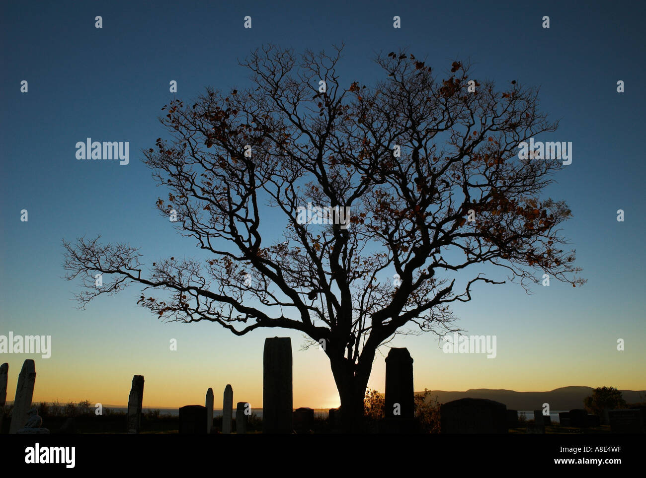 The graveyard tree New Richmond church Quebec Canada Stock Photo - Alamy