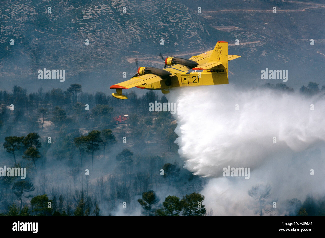 Aerial view of a Canadair firefighting water bomber airplane dousing ...
