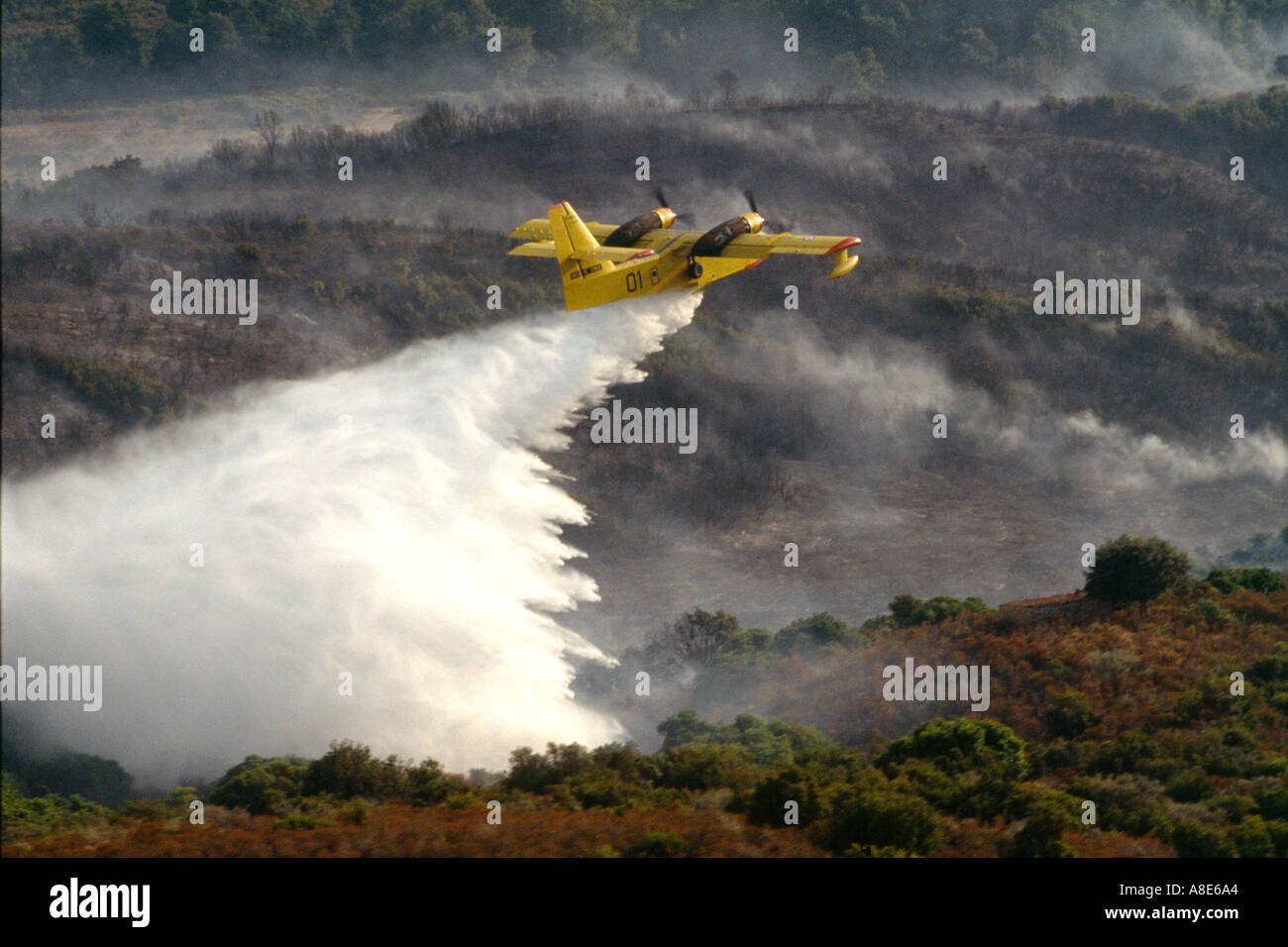 Aerial view of a Canadair firefighting water bomber airplane dousing ...