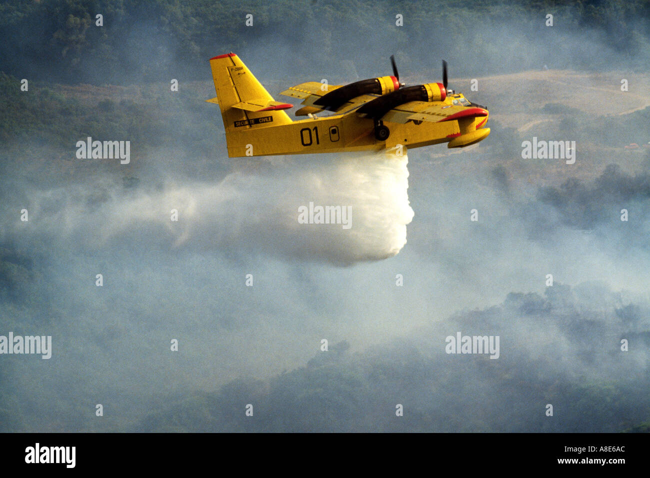 Aerial view of a Canadair firefighting water bomber airplane dousing ...