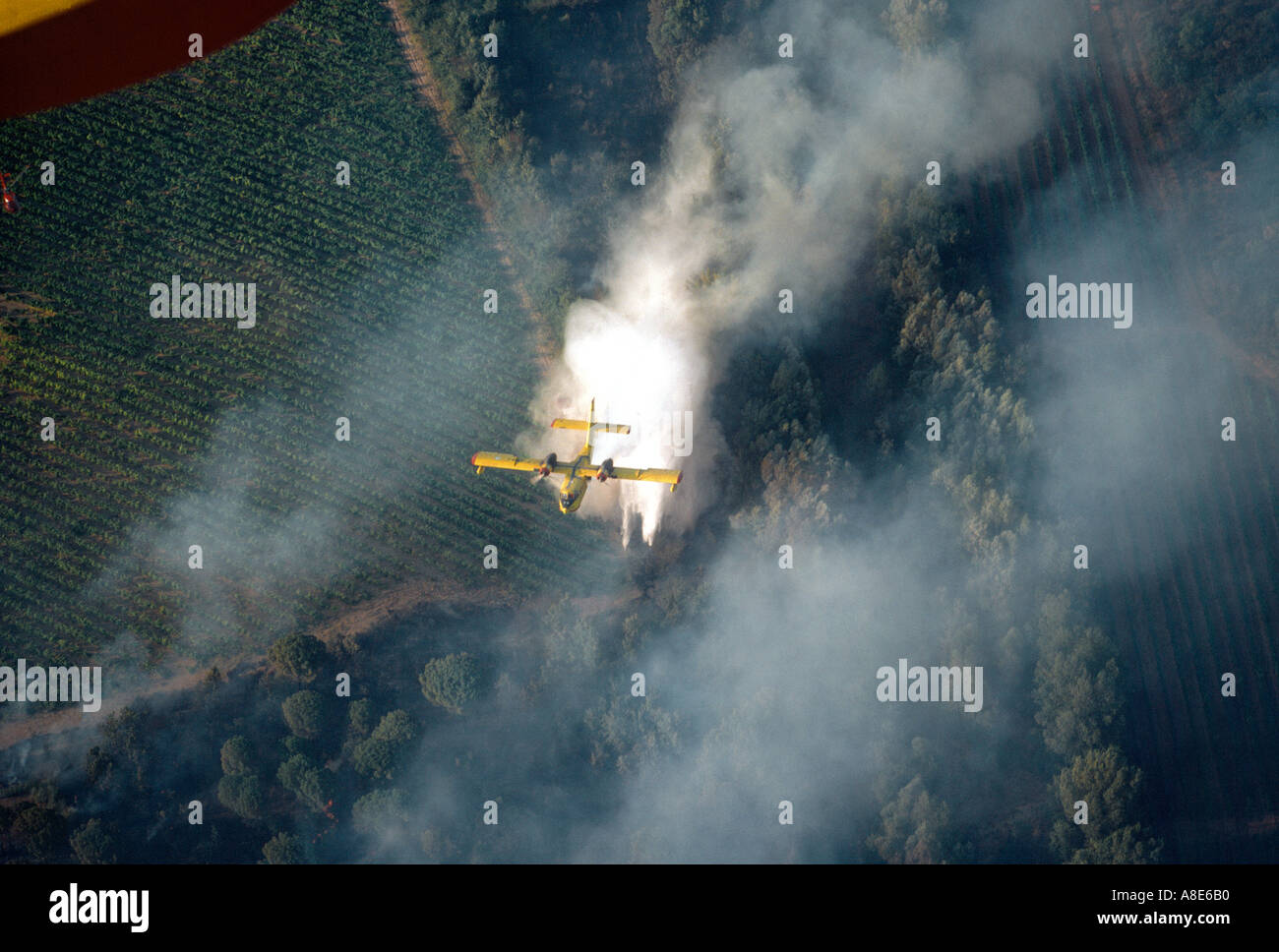 Aerial view of a Canadair firefighting water bomber airplane dousing ...