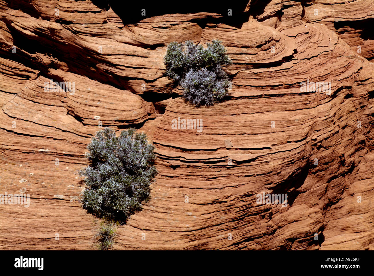 Layered Sandstone Carved Out in a Canyon in Canyon de Chelly National ...