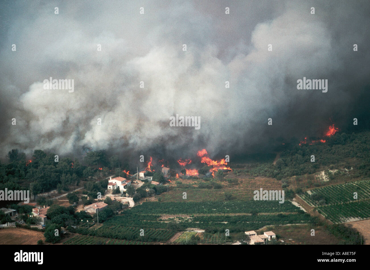 Menacing wild forest fire hi-res stock photography and images - Alamy