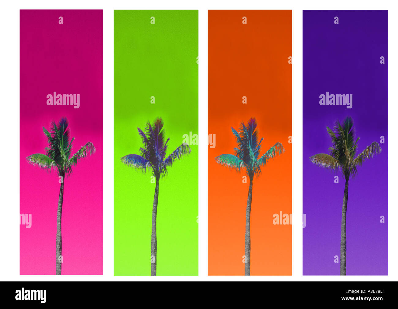 Palm Tree colourful montage Stock Photo - Alamy