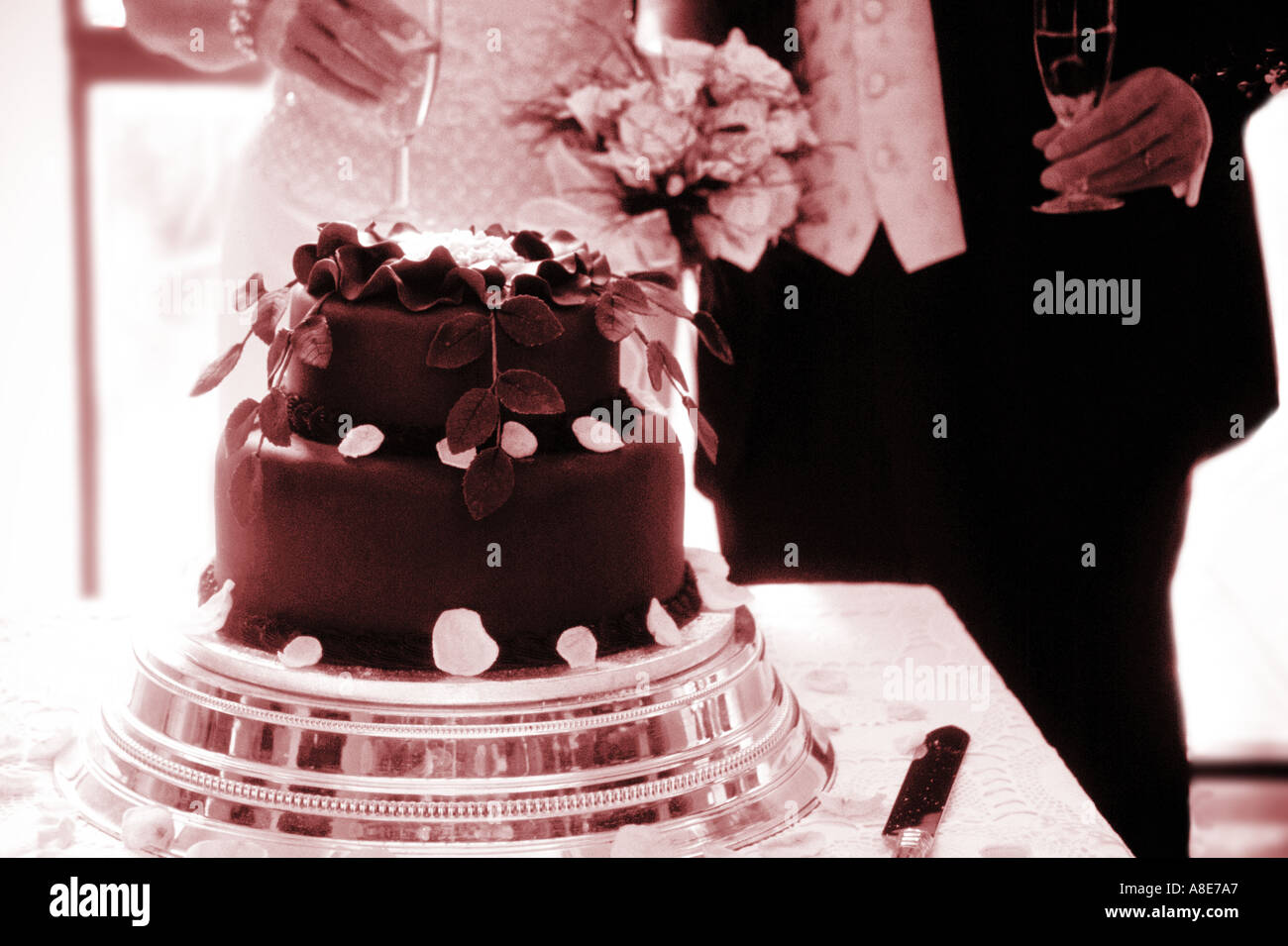 Bride and Groom standing behind wedding cake Stock Photo - Alamy
