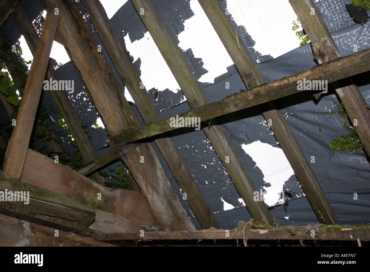 Derelict roof structure to be demolished and replaced with new timber ...