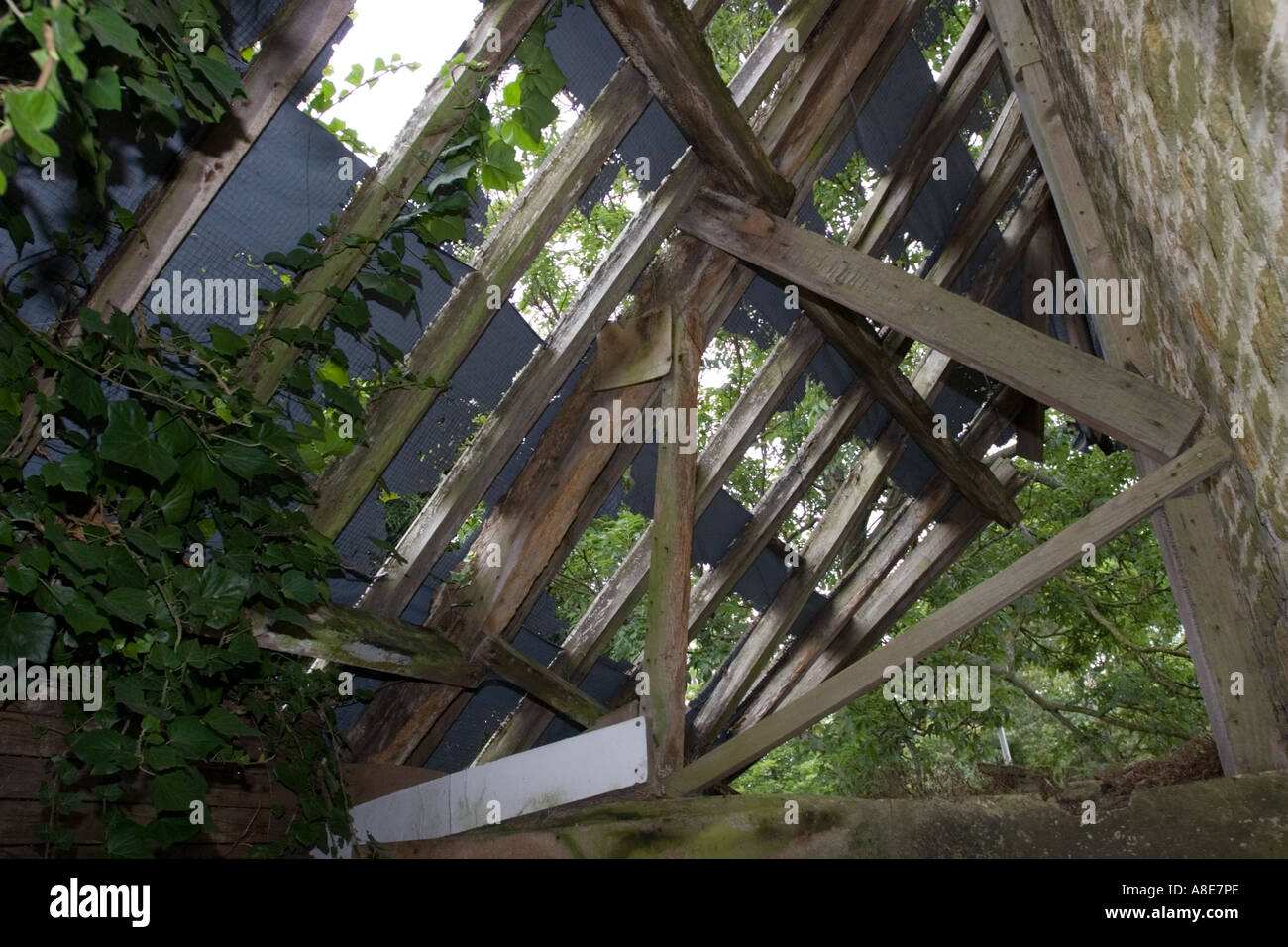 Derelict roof structure to be demolished and replaced with new timber ...