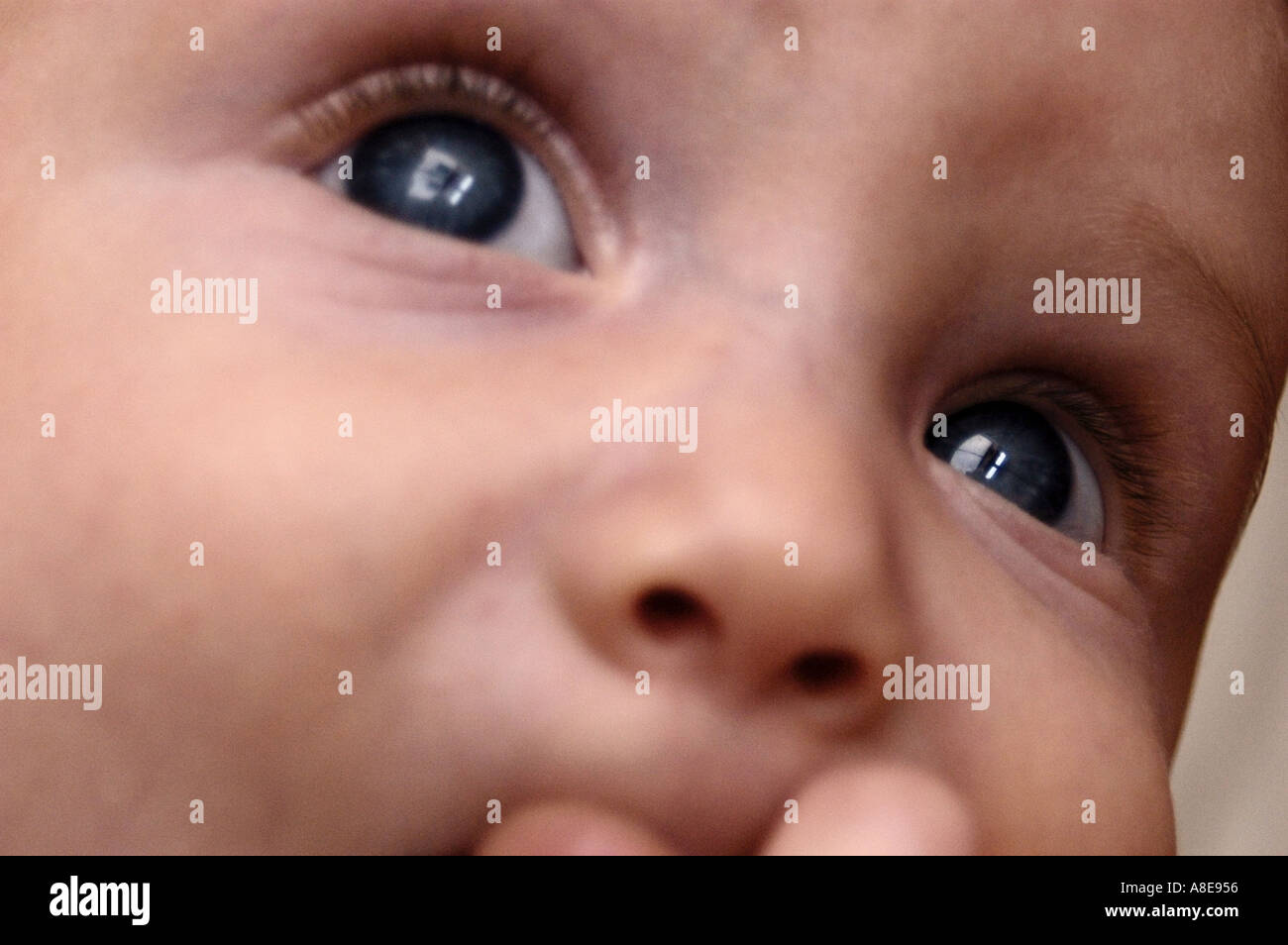 Baby eyes Stock Photo - Alamy