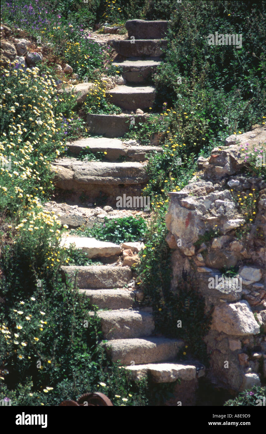 Stone stairs Stock Photo - Alamy