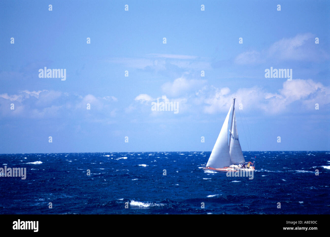 Sailing boat in the wind Stock Photo - Alamy