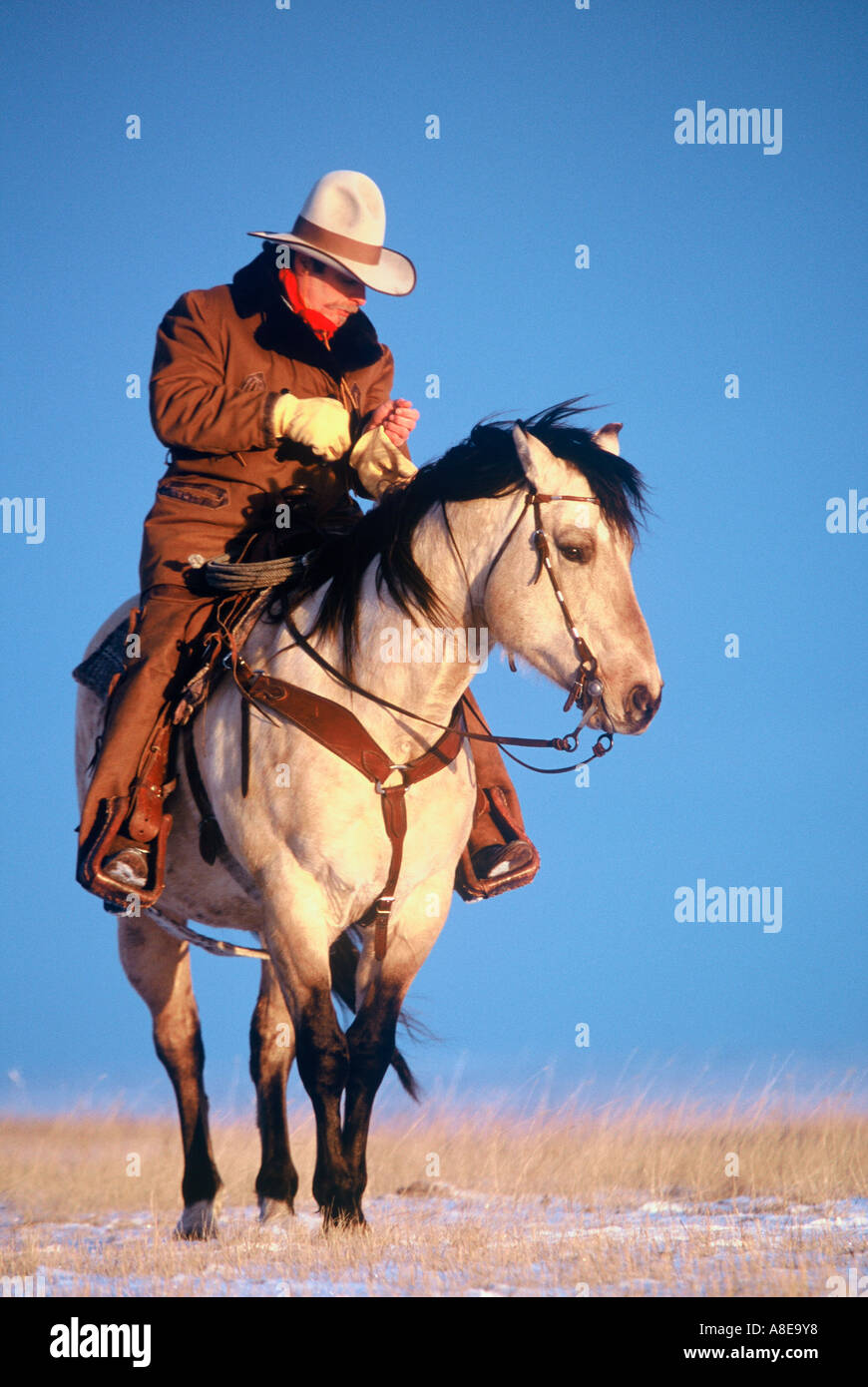 Ranch cowboy dakota hi-res stock photography and images - Alamy
