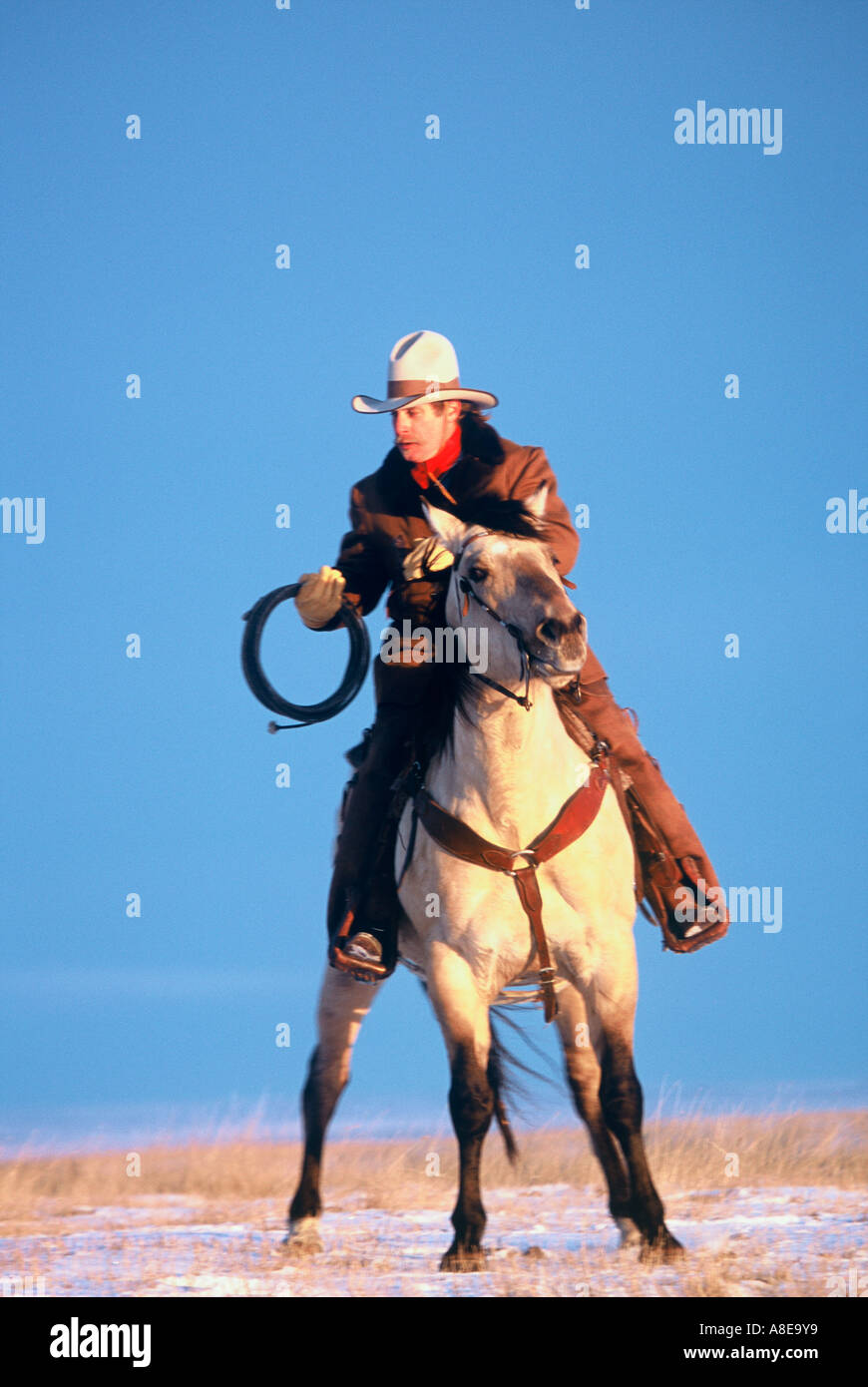 Cattle running south america hi-res stock photography and images - Alamy