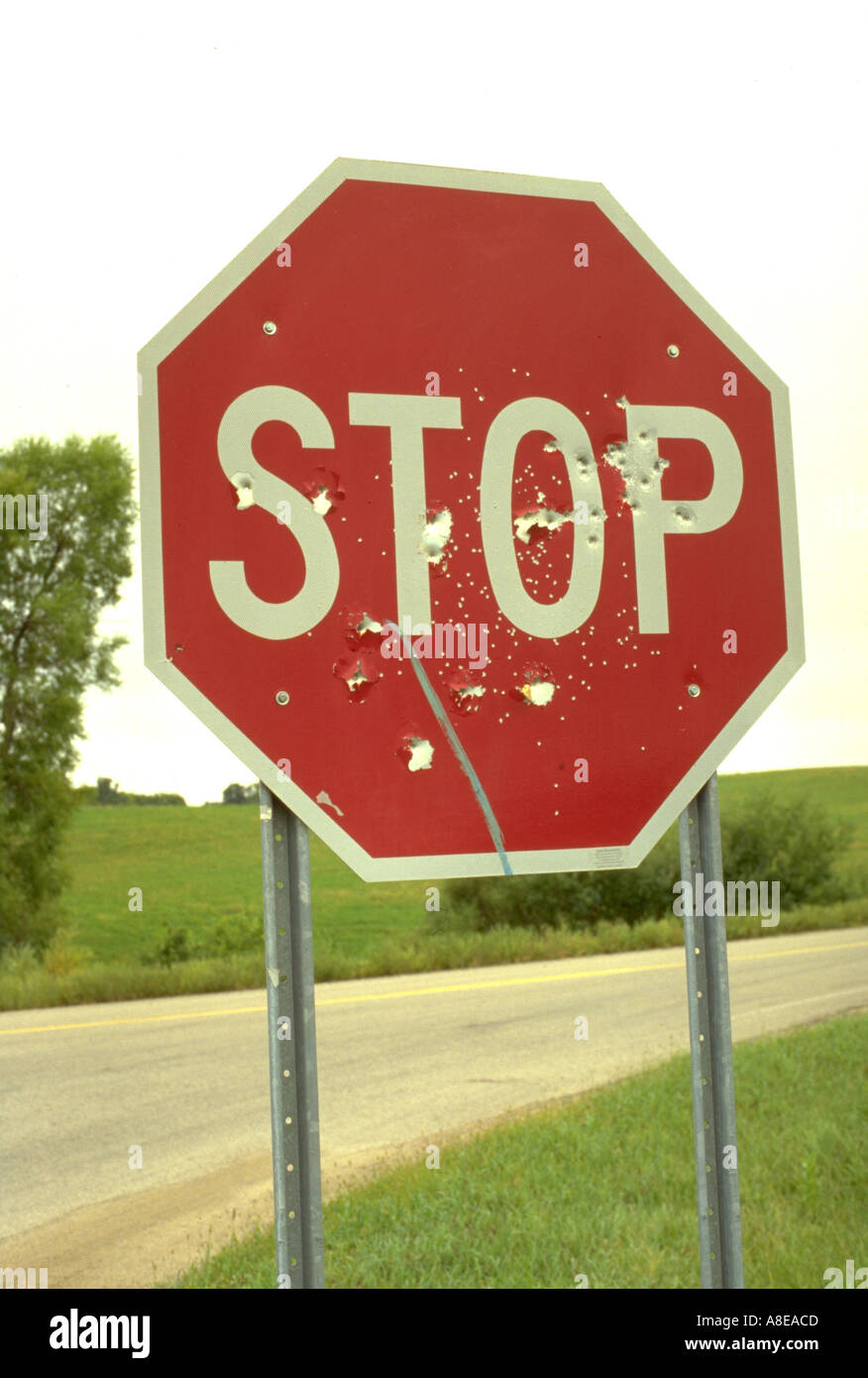 Stop sign filled with gunshot bullet holes rural recreation. Clitherall ...