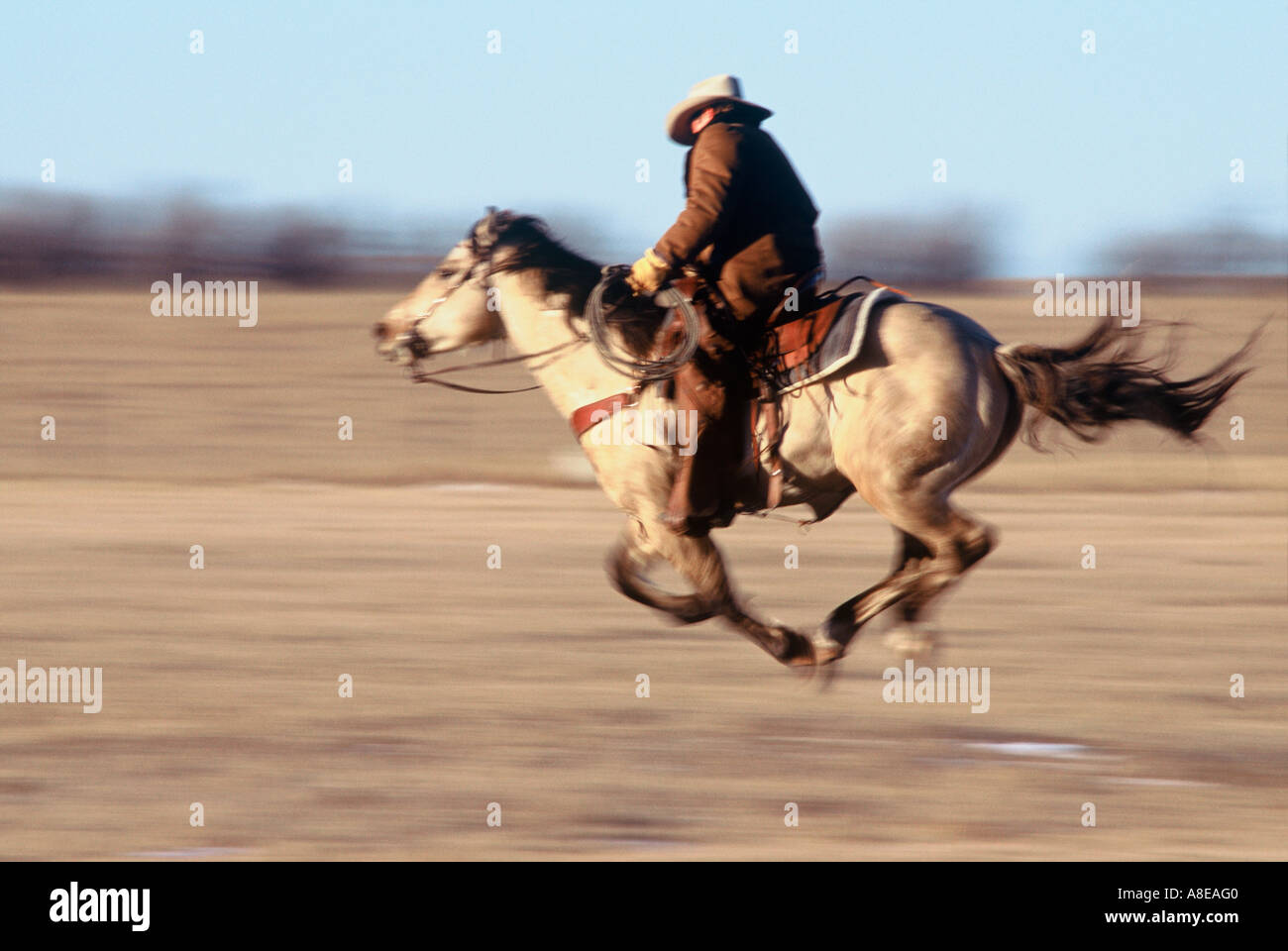 A cowboy on horseback riding at full speed Stock Photo - Alamy