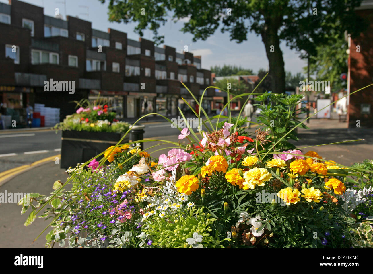 Cheshire Stockport Romiley Compstall Road floral planter Stock Photo ...