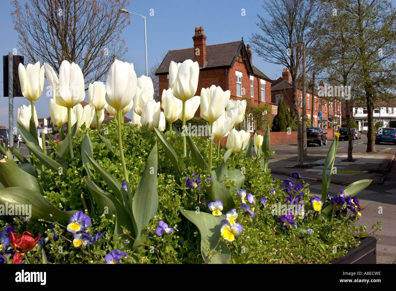 Offerton hi-res stock photography and images - Alamy