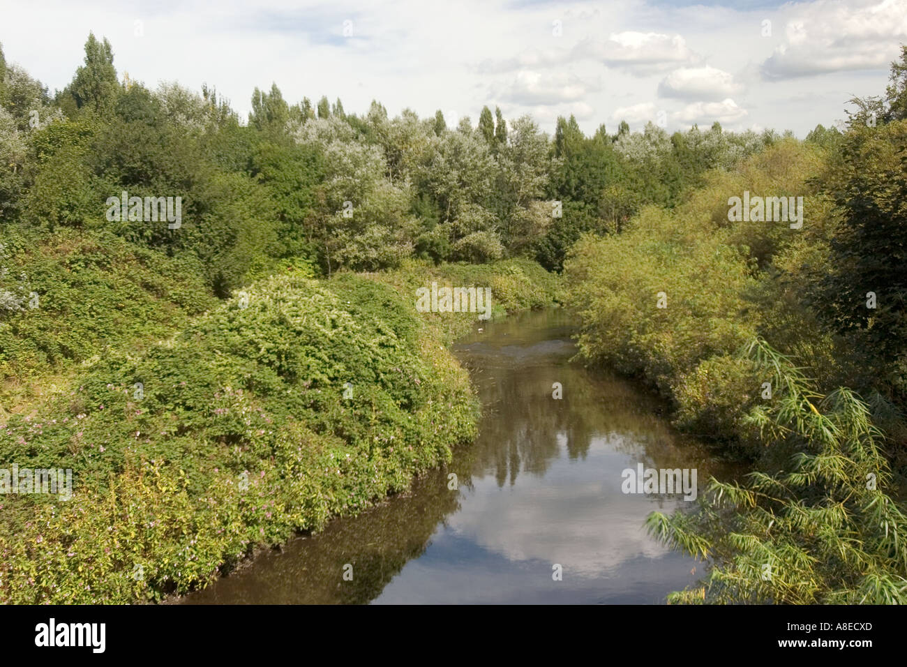 Cheshire Stockport River Tame flowing through Reddish Vale Country Park ...