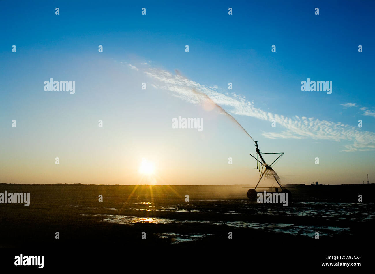 Rolling sprinkler hi-res stock photography and images - Alamy
