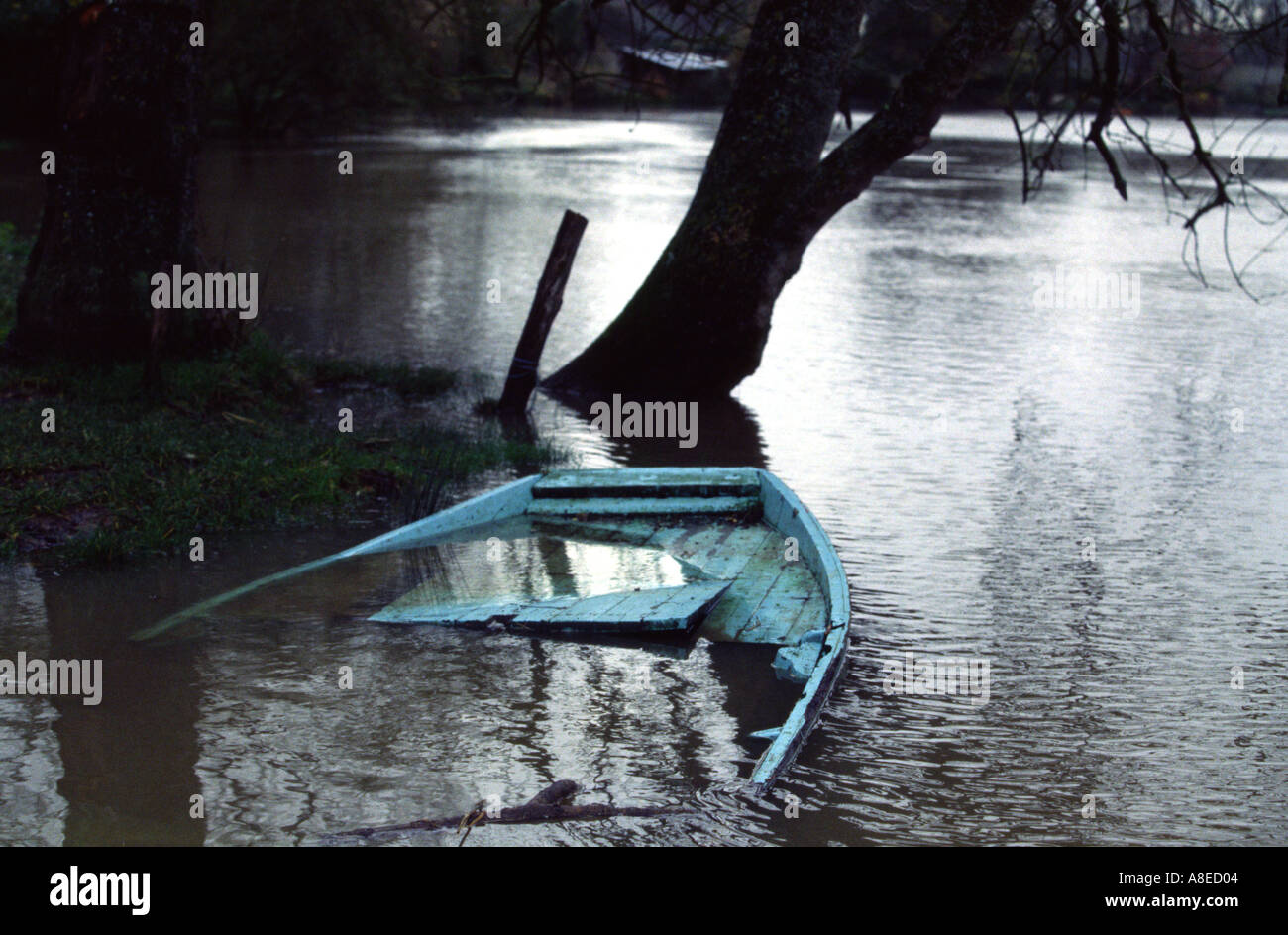 Rowing boat filled with water Stock Photo - Alamy