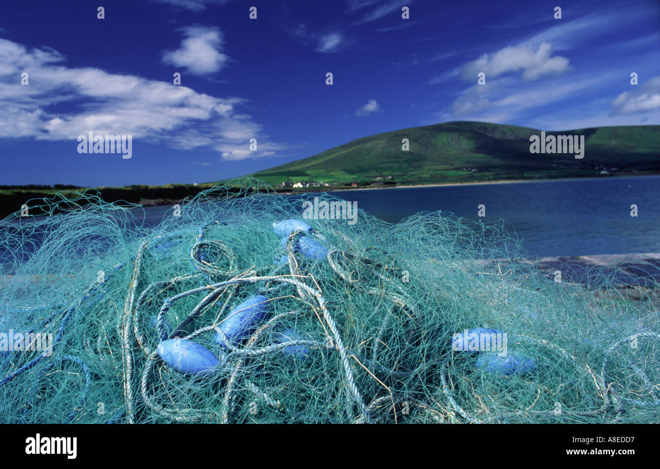 Fishnet package hi-res stock photography and images - Alamy