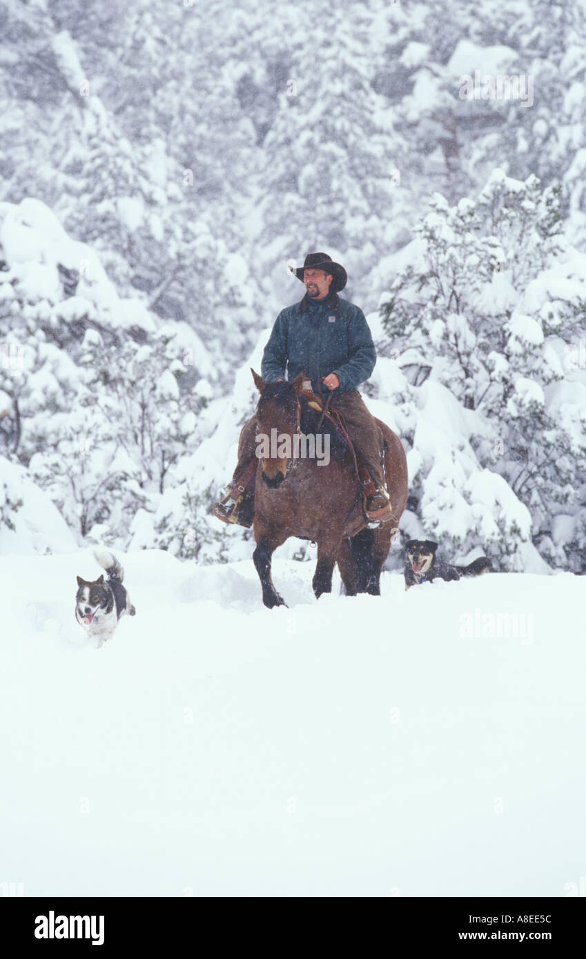 Cowboy riding horse in a snowstorm Colorado USA Stock Photo - Alamy