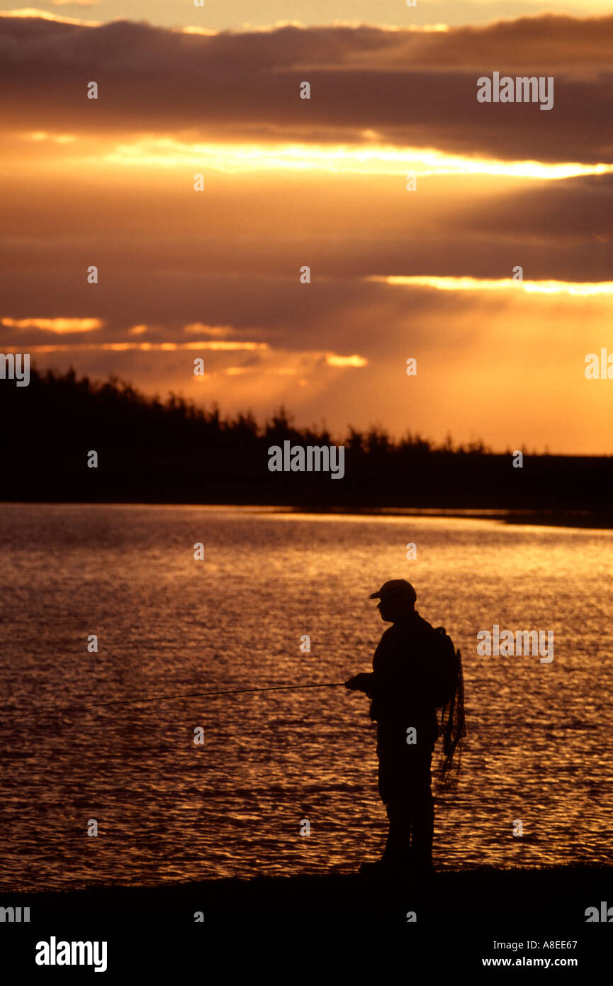 Trout Fishing at dusk Stock Photo - Alamy