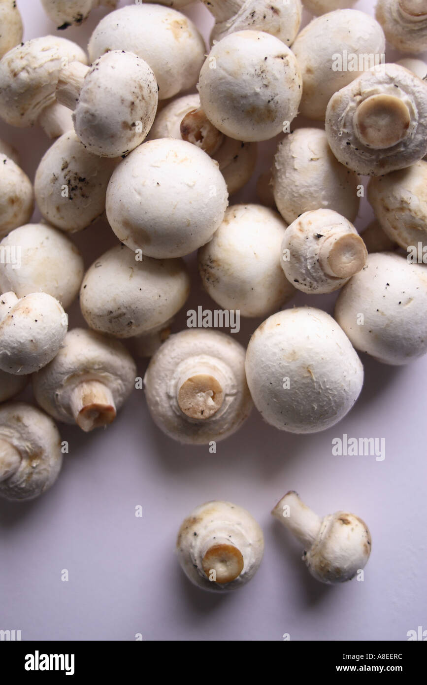 Eatables mushrooms hi-res stock photography and images - Alamy