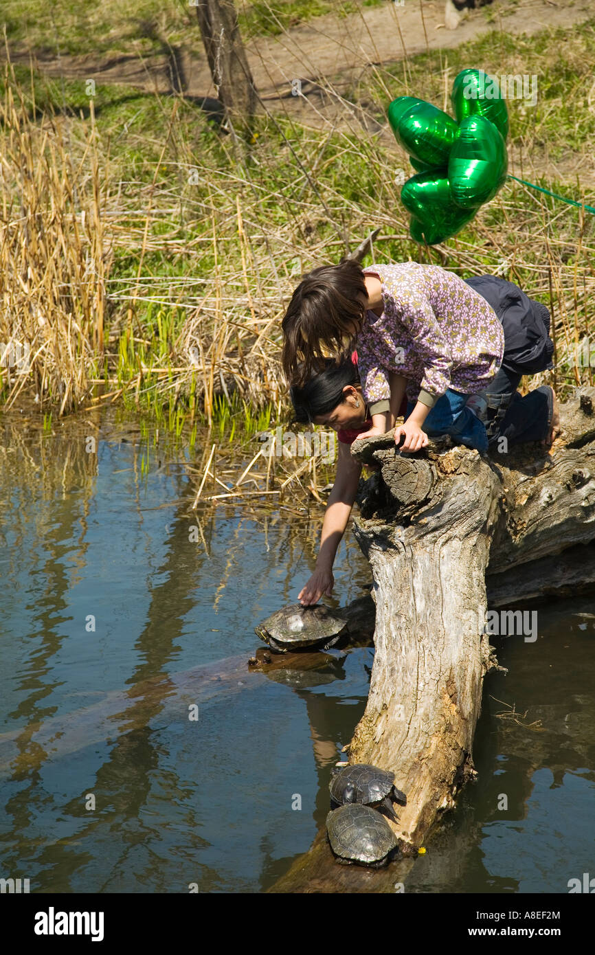 CHICAGO Illinois Young girl on fallen log adult woman stretch to reach ...