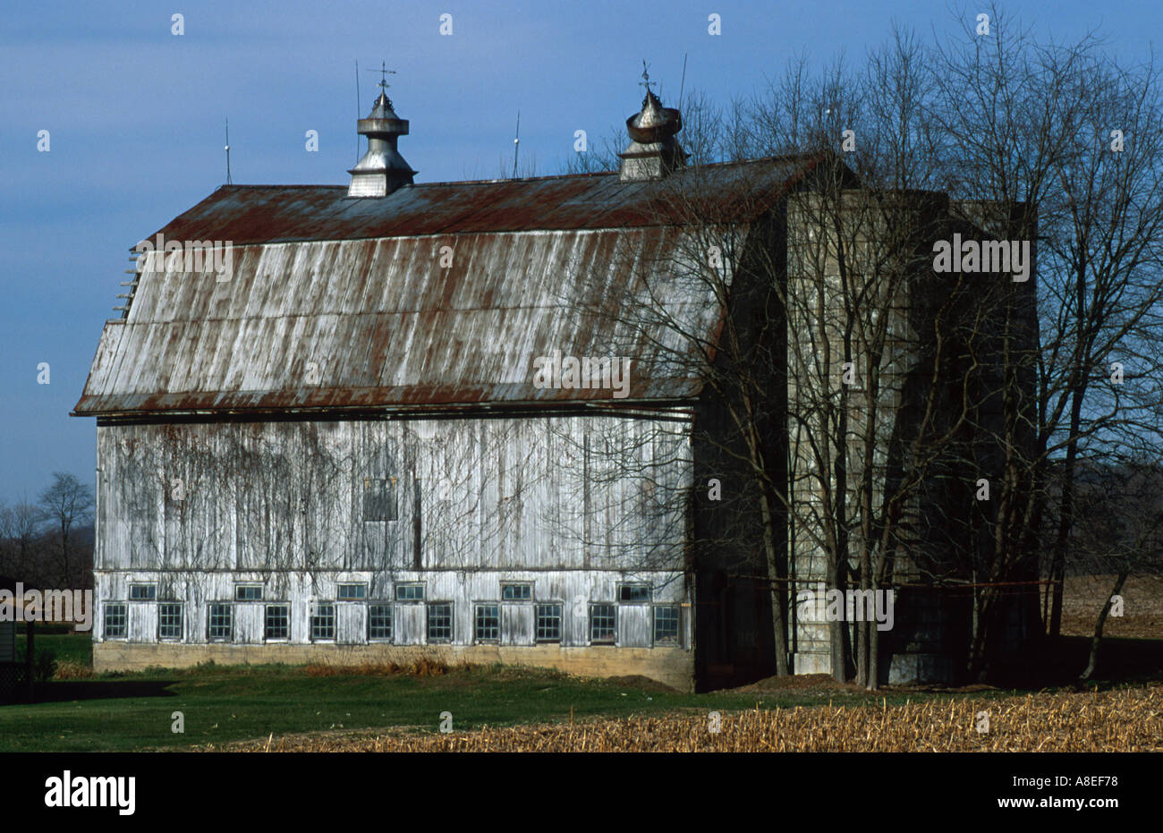 Old weathered wood barn with rusted roof Stock Photo - Alamy