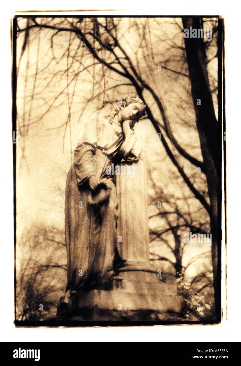 Death cemetery Cut Out Stock Images & Pictures - Alamy