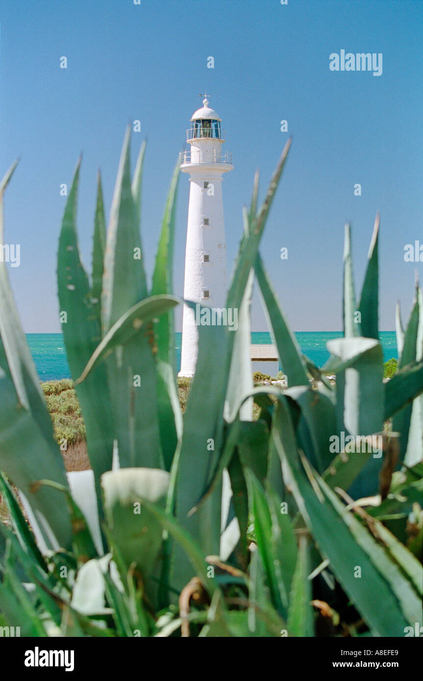 Point lowly hi-res stock photography and images - Alamy