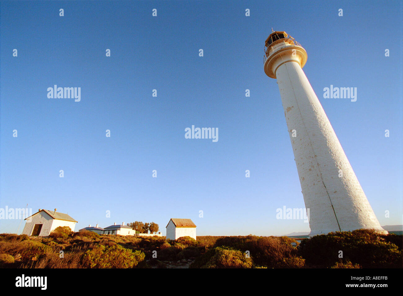 Point lowly hi-res stock photography and images - Alamy