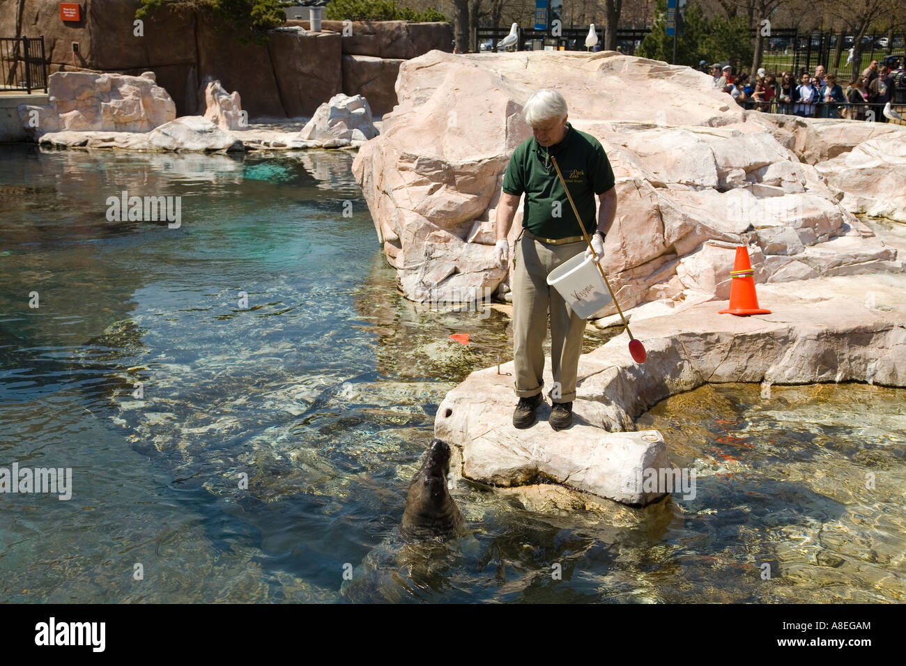 Animal trainer usa hi-res stock photography and images - Alamy